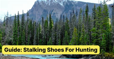 Ultimate Guide For Stalking Boots Soundproof N Quiet