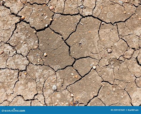Seamless Texture Dried Mud Cracks High Quality Stock Image Image Of
