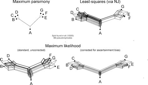 the genealogical world of phylogenetic networks trivial data but not