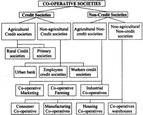 Draw A Chart Showing The Types Of Co Operatives Sarthaks Econnect Largest Online Education