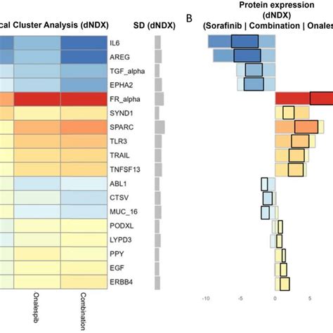a hierarchical cluster analysis of most significant protein