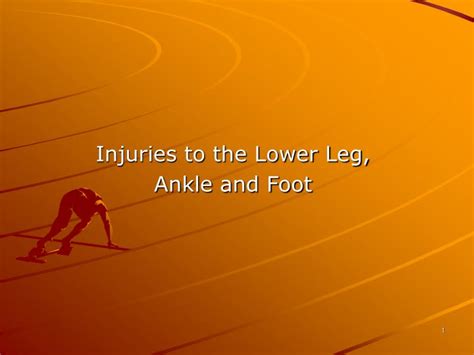 Ppt Injuries To The Lower Leg Ankle And Foot Powerpoint Presentation