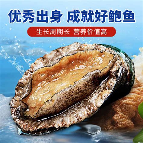 1头鲍鱼多少钱一个？ 惠农网