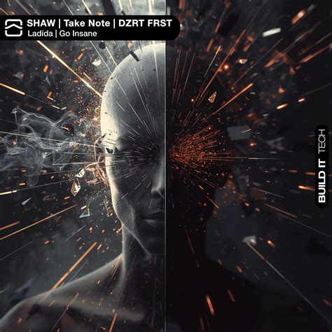 Shaw Dzrt Frst Take Note Go Insane Extended Mix