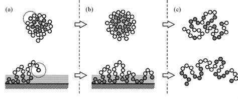 Schematic Representation Of The CDSD Copolymerization Process In The