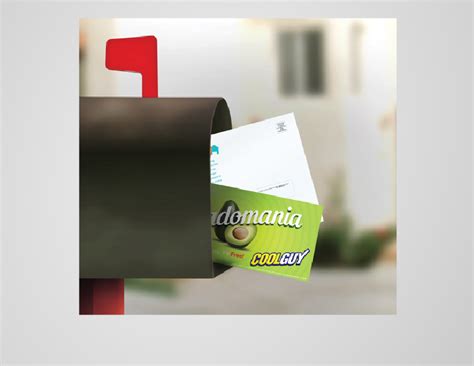 Bulk Mail Flyers In San Diego Ca Bulk Mail Printing