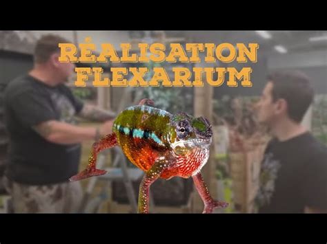 TUTO INSTALLATION CAMELEON réalisation d un flexarium de A à Z