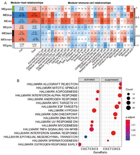 Further Exploration Of Ctgf Functions A Correlation Between Modules