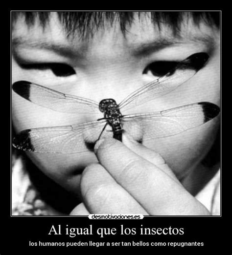 Im Genes Y Carteles De Bichos Pag Desmotivaciones