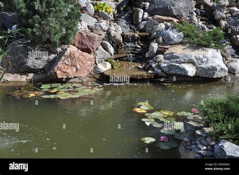 Japanese Garden With Lotus Pond And Decorative Growth Environment Stock Photo Alamy