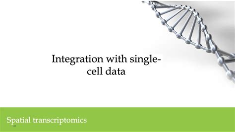 8 Visium Data Subset And Integrate With Single Cell Data Update August 2023 Youtube