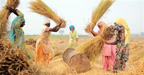 In Indias Villages Women Are A Solution Not A Problem Countercurrents