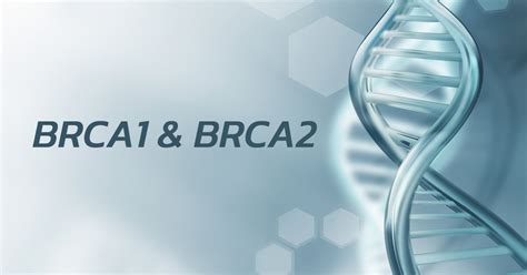 Brca1 And Brca2 Gene Mutations And Cancer Risk 42 Off