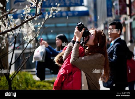 Pueblos Democráticos República De Corea Fotografías E Imágenes De Alta