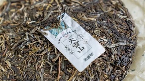 怎样鉴别真春茶？几十块买古树？ 2023茶山播报 知乎