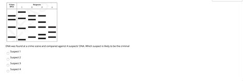 Solved Crime DNA Suspects DNA Was Found At A Crime Scene And Chegg Com