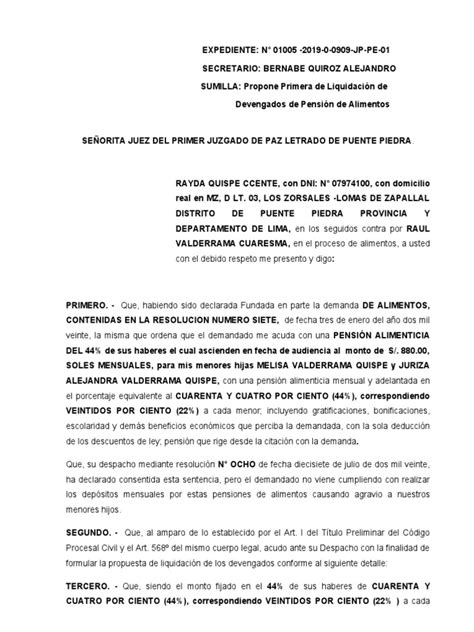 Primera Liquidacion De Devengados Rayda Quispe Pdf