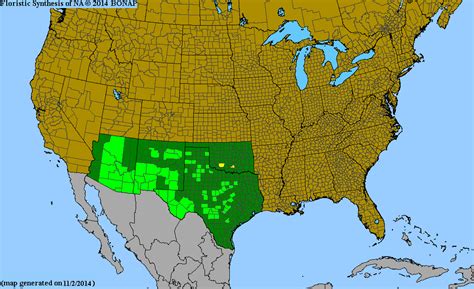 2013 Bonap North American Plant Atlas Taxonmaps