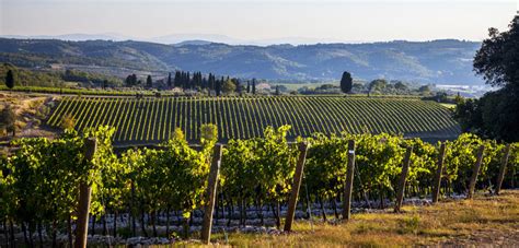 The Antinori Wine Empire And The Chianti Visitor Center