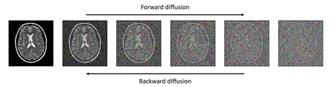 Solving Inverse Problems With Conditional Diffusion Models