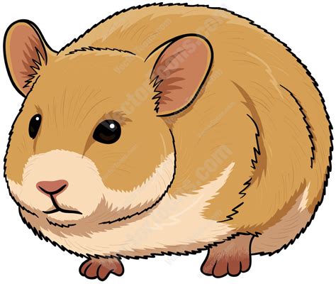 Hamster In A Wheel Clipart Clip Art Library