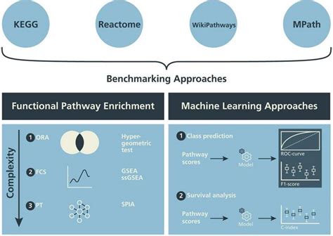 Softwarepathway Analysis Handwiki