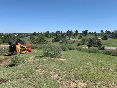 Scrub Oak Removal Colorado Springs Fire Mitigation