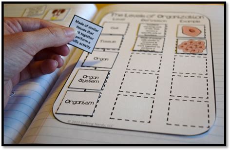 Discover 52 Biology Notebook Ideas On This Pinterest Board Teaching