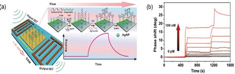 A Schematic Of A Silver Nanoparticle Amplified Dna Sensor B Sensor