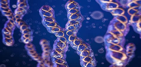 The X Chromosome Is Silenced In Some Male Cancers