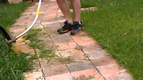 How To Trim Grass Around Plants At Amy Grant Blog