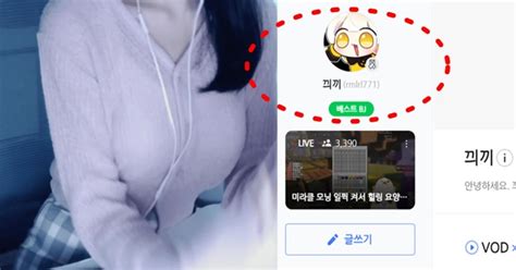 아프리카 버튜버 끠끼 빨간약 And 실물 얼굴 몸매 공개 후 팬들 놀란 이유 악놀2 반캠 나이 프로필 네이버 블로그