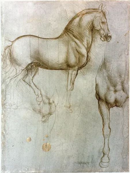 Sketches And Drawings By Leonardo Da Vinci