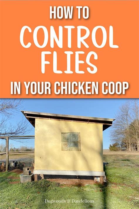 How To Control Flies In The Chicken Coop Fly Repellant Chicken Coop