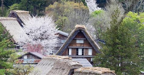 Nagoya Shirakawa Go Dorf Tour Englischsprachiger Profi Guide