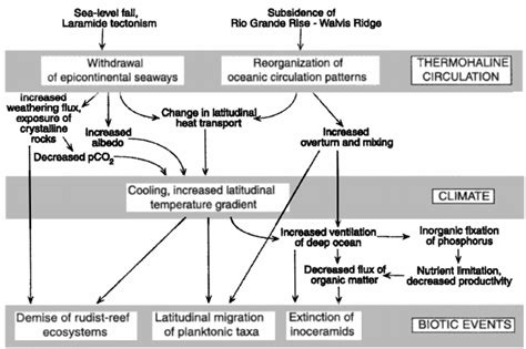 Flowchart Illustrating The Influence Of Maastrichtian Tectonic Events