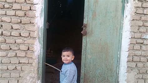 دانه خوری جوجه ها2 Youtube