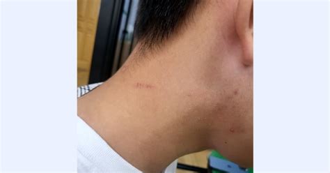 늦잠 잤습니다 8분 지각한 학생목 조르고 뺨 때린 교사