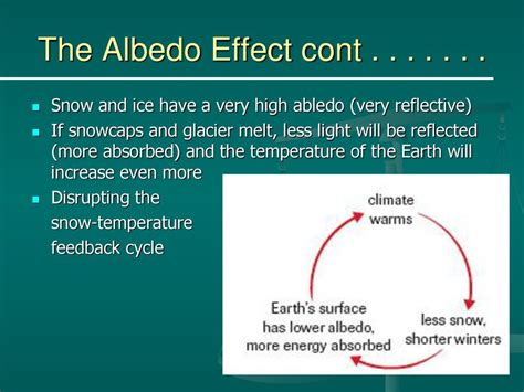 Human Impact On The Carbon Cycle Ppt Download