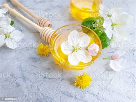 회색 콘크리트 배경 프레임에 신선한 꿀 꽃이 만발한 사과 나무 꽃 식물에 대한 스톡 사진 및 기타 이미지 꽃 식물 0명
