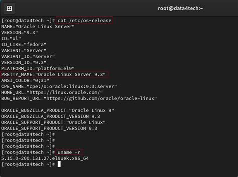 Oracle Linux 9 3 üzerine RPM ile Oracle 19c Kurulumu