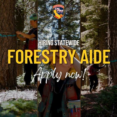 California Department Of Forestry And Fire Protection Cal Fire On