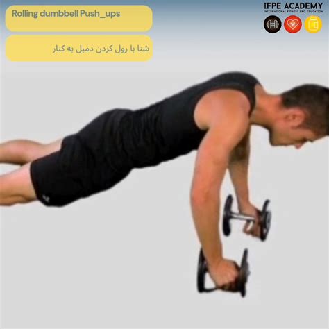 Chest Muscle Group Ifpe Academy