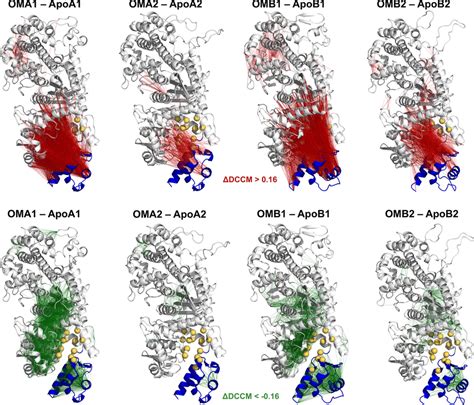 Comparison Of Dynamic Cross Correlation Networks Difference Dccm