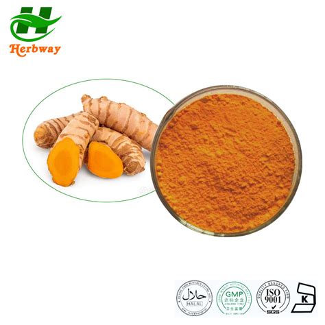 Herbway Kosher Halal Fssc Haccp Certified Botanical Extract 98 Tumeric