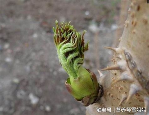 蛙的红细胞手绘图 红细胞手绘图 工作细胞红细胞图片 第6页 大山谷图库