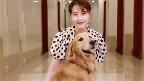 周海媚保姆住其豪宅周妈妈没有把狗狗带回香港腾讯视频