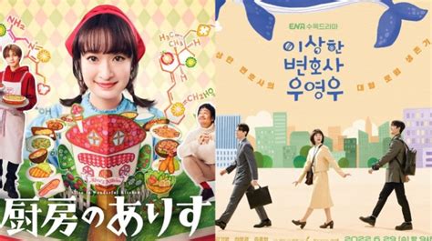 Jdrama Alice In Wonderful Kitchen Plagiat Drama Korea Extraordinary Attorney Woo