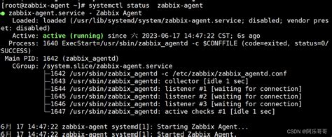 Zabbix2 Agent 安装和监控使用zabbix Agent2 怎么安装 Csdn博客
