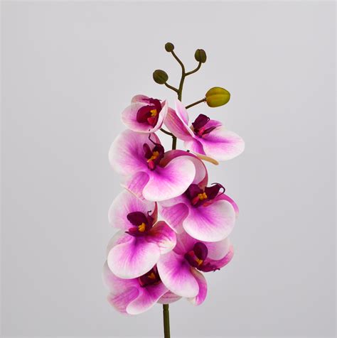 Fiore Artificiale Orchidea Phalaenopsis Fucsia Per Decorazioni Di Interni